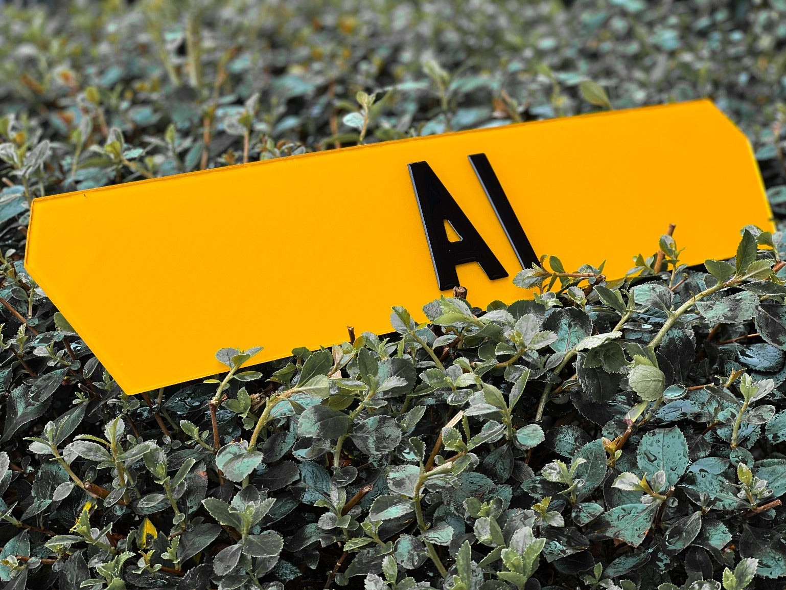 Hex Lambo Style Number Plates